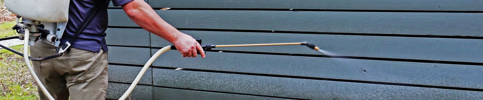 Portland Termite Control| Family Home Pest Control